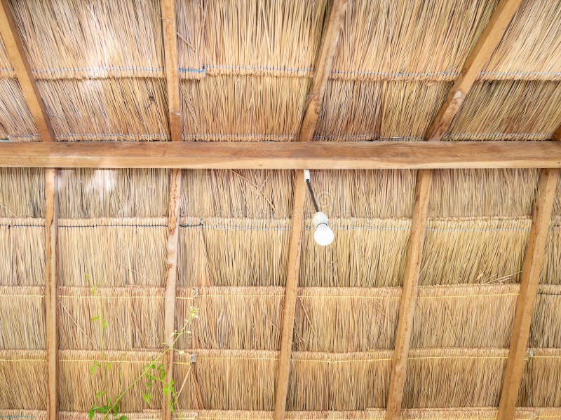 241 Thatch Ceiling Stock Photos - Free & Royalty-Free Stock Photos from ...