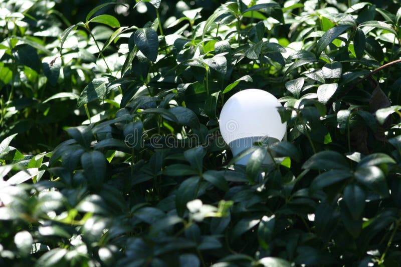 LED Bulb with Lighting in the Green Stock Image - Image of change ...