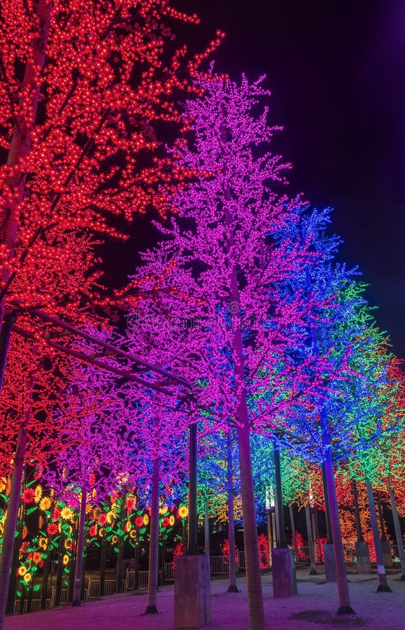 LED Decoration Festival stock photo. Image of ecofriendly - 34794276