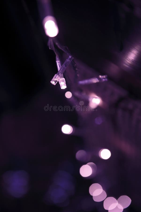 LED Electric Lights Violet Color Tone Stock Image - Image of black ...