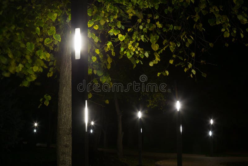 304 Modern Park Path Lighting Stock Photos - Free & Royalty-Free Stock ...