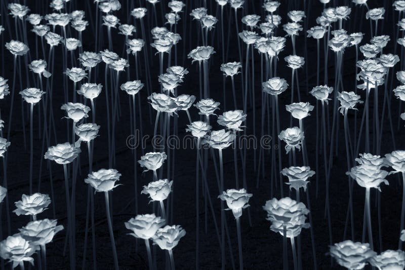 LED flower stock photo. Image of floral, blooming, celebrate - 67042006