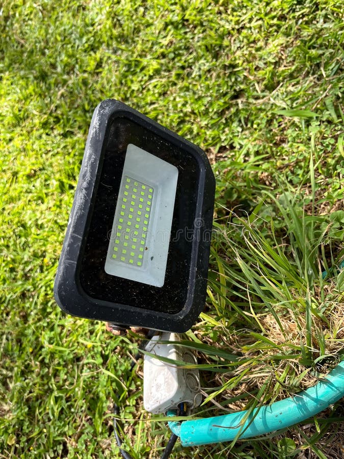 LED Garden Lights on Grass for Tree Lighting Stock Photo - Image of ...