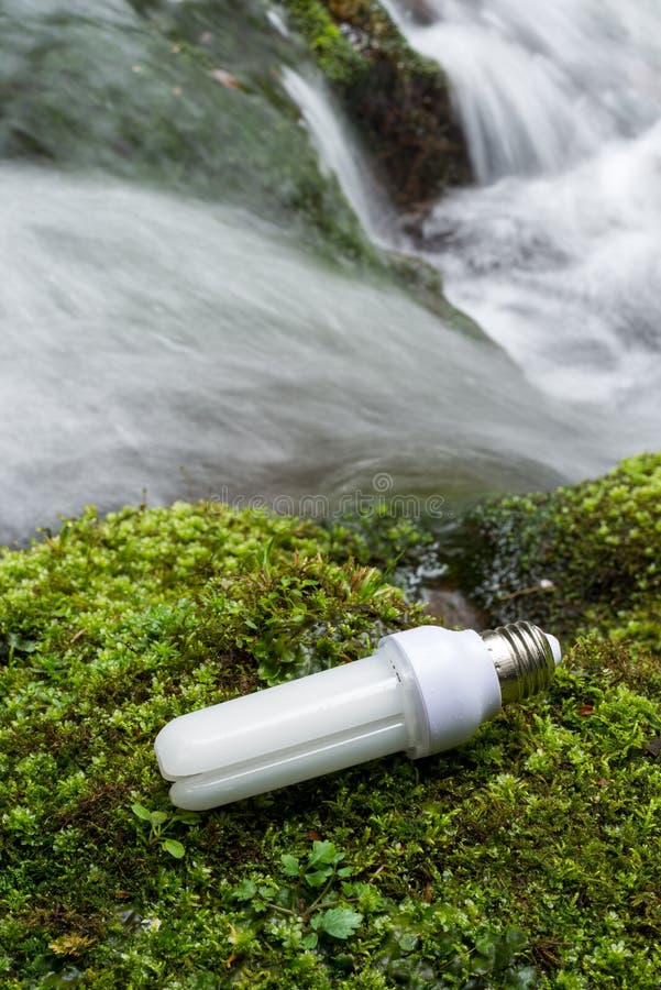 LED on a green moss stock photo. Image of ecology, appliance - 272435206