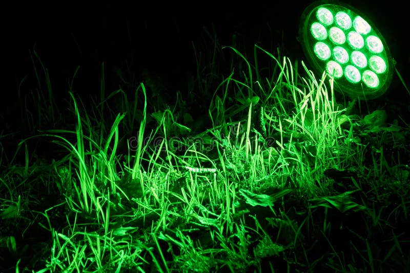 LED lamp stock photo. Image of close, nature, flora - 103089552