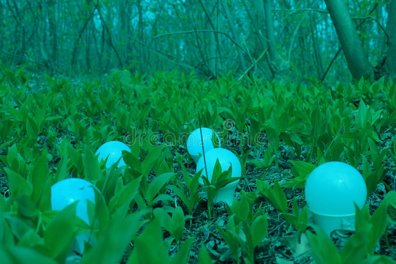 LED Light Bulbs in the Forest on the Leaves Stock Image - Image of ...