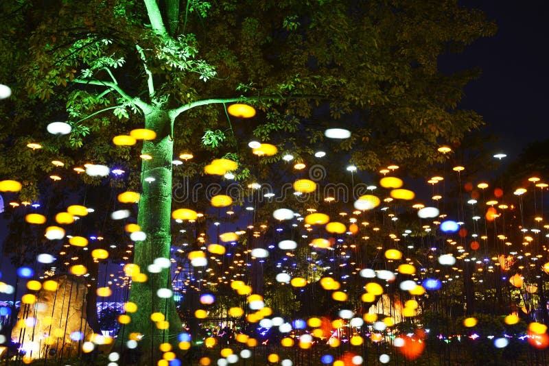 LED light in park stock image. Image of glowing, decorations - 79793181