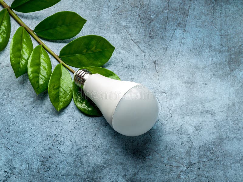 LED Lighting is One of the Promising Areas of Artificial Lighting ...