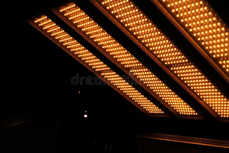 Lighting and Led Panel Technician Installing Professional Lighting ...