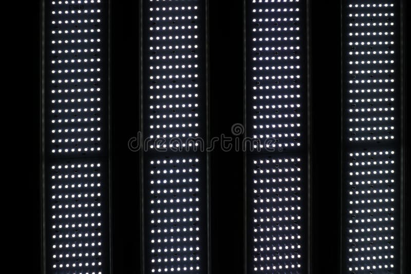 Lighting and Led Panel Technician Installing Professional Lighting ...