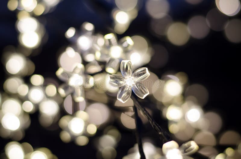 Led Lights in the Form of Flowers Stock Photo - Image of electricity ...