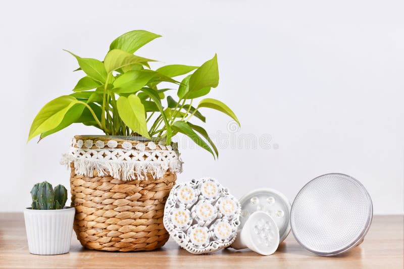 LED Plant Grow Lights for Houseplants Stock Image - Image of greenhouse ...