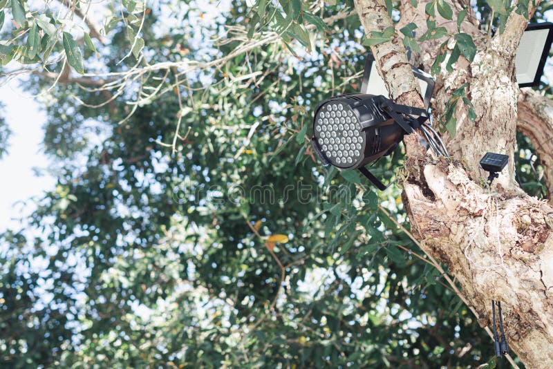 The LED Spotlight is Installed on the Trees To Illuminate the Night ...