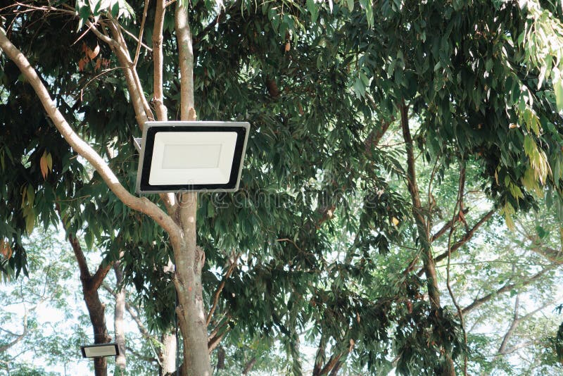 The LED Spotlight is Installed on the Trees To Illuminate the Night ...
