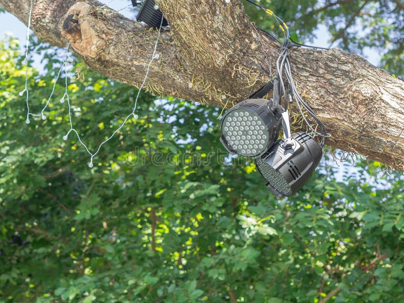 The LED Spotlight is Installed on the Trees To Illuminate the Night ...