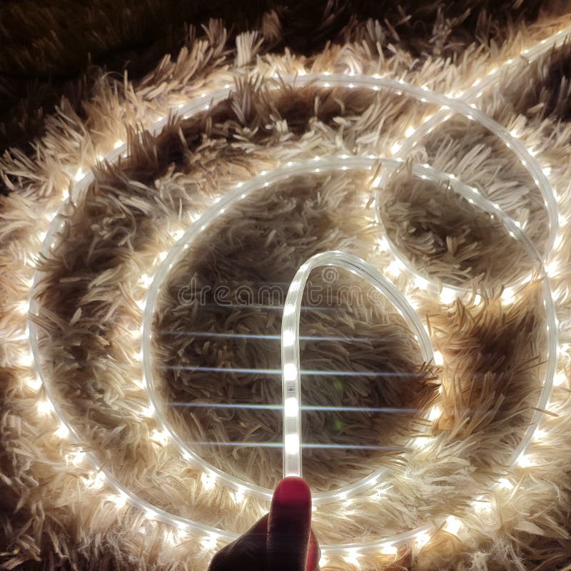 Led Strips are a Warm White Stock Photo - Image of organ, warm: 267249996