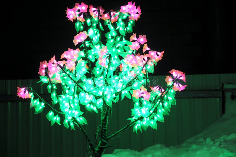 725 Diode Tree Stock Photos - Free & Royalty-Free Stock Photos from ...