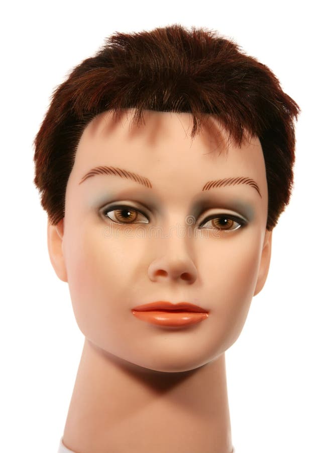 Ledenpop Sally Head Female Front Stock Foto - Image of bleekheid ...