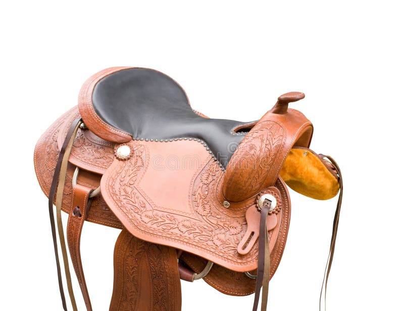 Satteln Sie ein Pferd stockfoto. Bild von reiten, sattel - 20253144