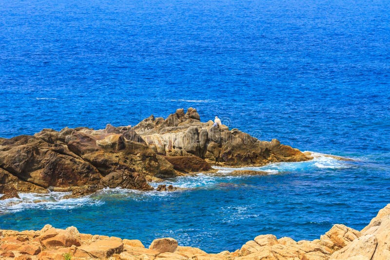 Beach and ledge stock photo. Image of landscape, algae - 27734060