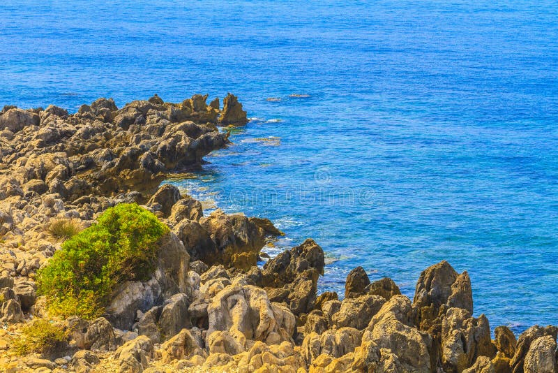 Ledge forest and the sea stock photo. Image of travel - 27733678