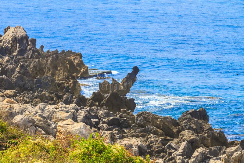 Ledge forest and the sea stock photo. Image of travel - 27733678