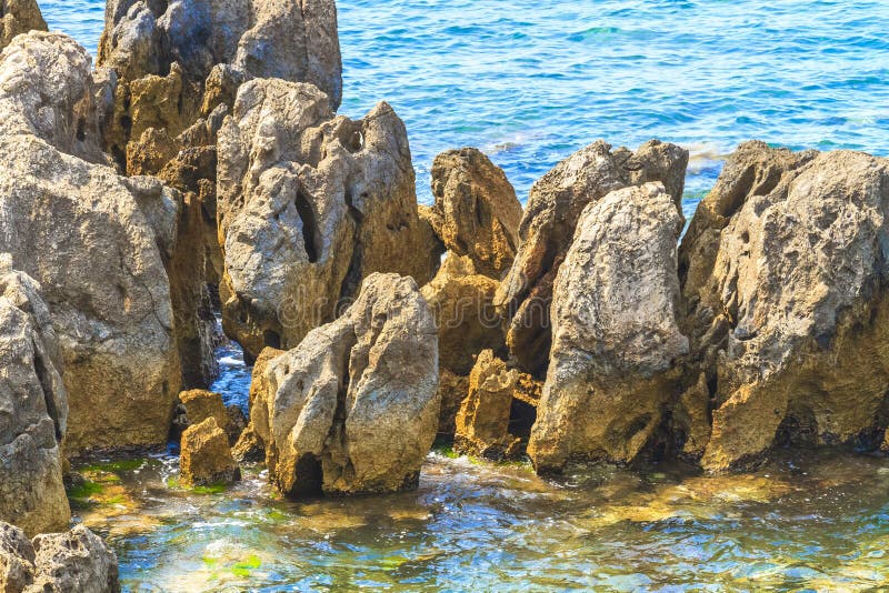 Beach and ledge stock photo. Image of landscape, algae - 27734060