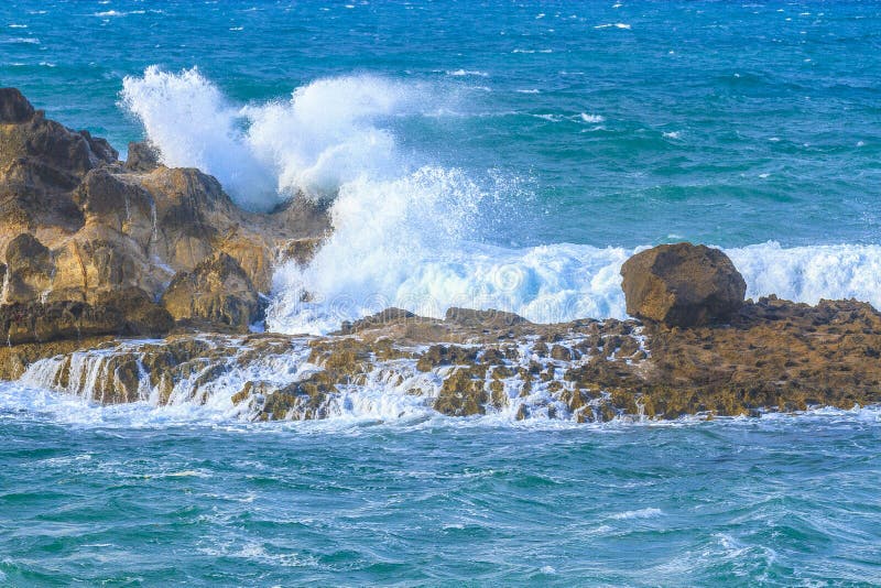 Ledge forest and the sea stock photo. Image of travel - 27733678