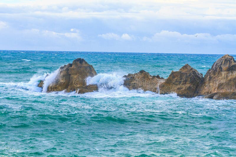 Ledge forest and the sea stock photo. Image of travel - 27733678