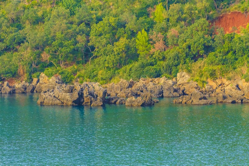 Ledge forest and the sea stock photo. Image of travel - 27733678