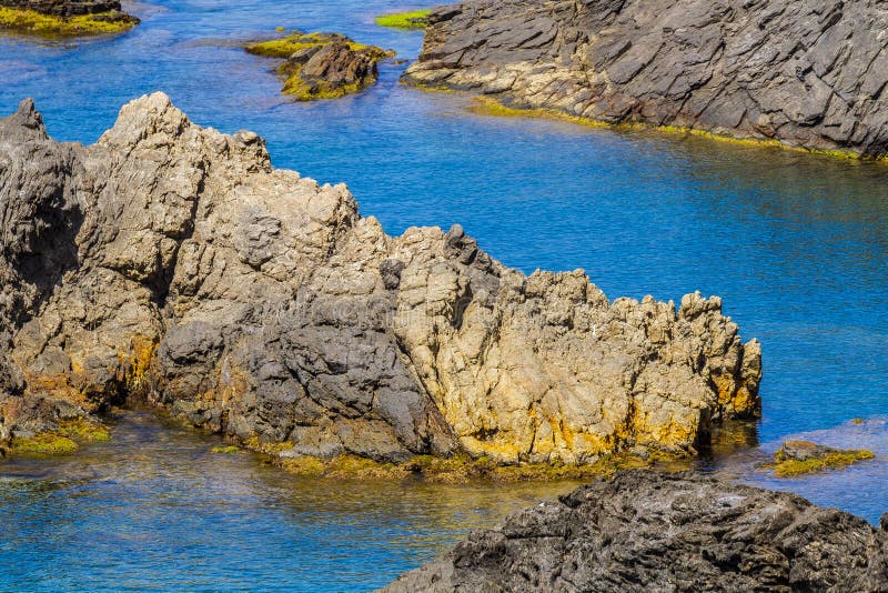 Beach and ledge stock photo. Image of landscape, algae - 27734060