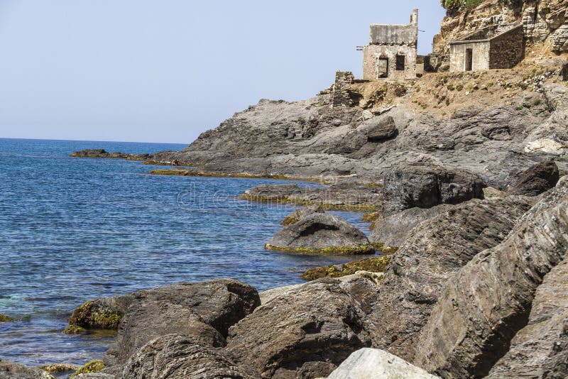 Beach and ledge stock photo. Image of landscape, algae - 27734060