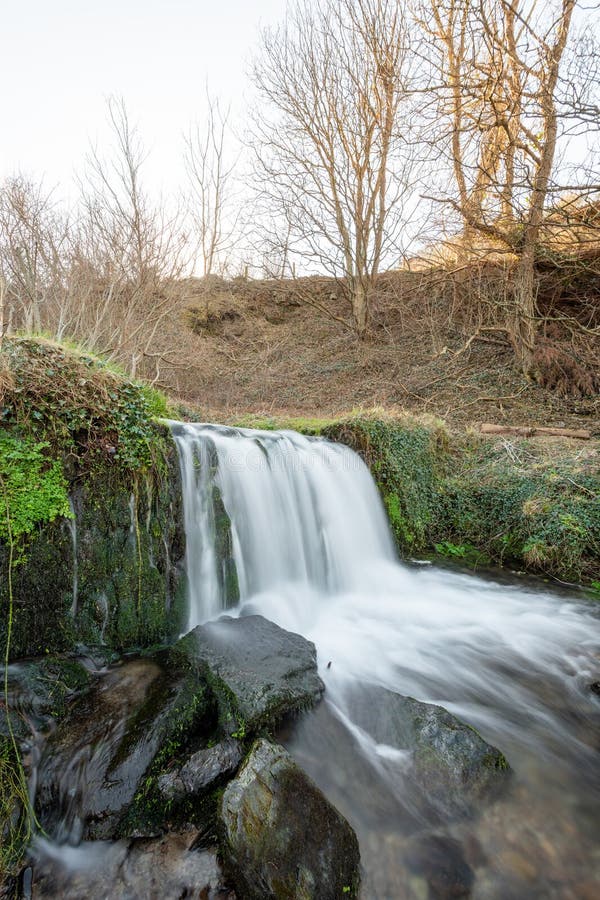 Lee Abbey beach in Devon stock photo. Image of natural - 371317466