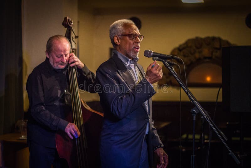 Lee Andrew Davison Performing Editorial Photo - Image of live ...