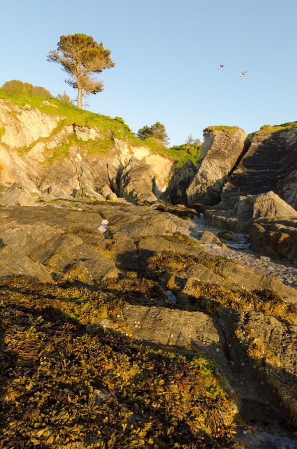 Lee Bay sunset stock photo. Image of beach, channel, north - 42029114