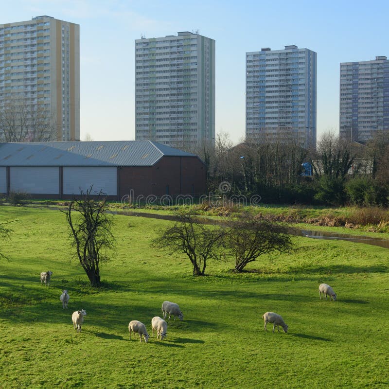 Wooden cabins stock image. Image of camping, accomodation - 65662519
