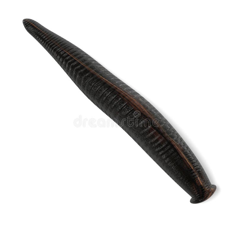 Leech Stock Illustrations – 631 Leech Stock Illustrations, Vectors ...