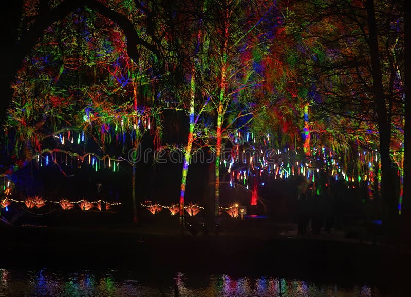 Leeds Castle Christmas Lights Stock Photo - Image of branches, evenings ...