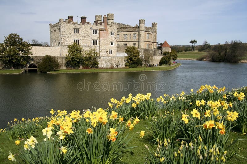 Leeds Castle Gardens Spring Daffodils Kent Uk Stock Image - Image of ...
