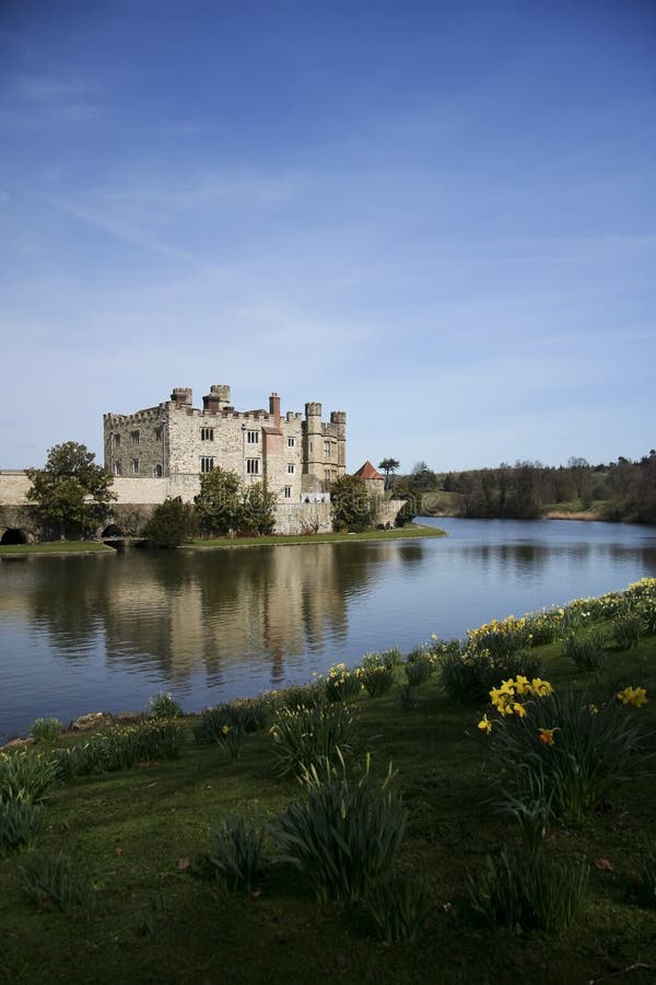 Leeds Castle Gardens Spring Daffodils Kent Uk Stock Image - Image of ...