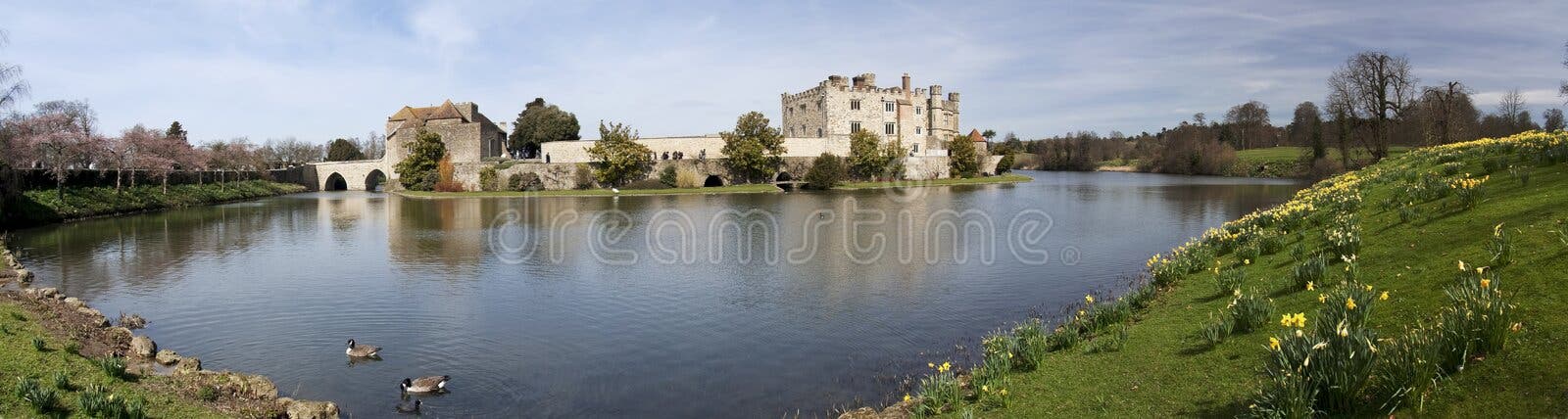Leeds Castle Gardens Spring Daffodils Kent Uk Stock Image - Image of ...