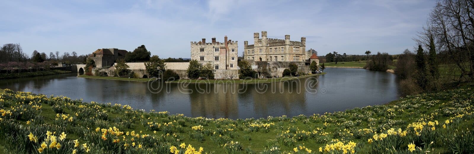 Leeds Castle Gardens Spring Daffodils Kent Uk Stock Image - Image of ...