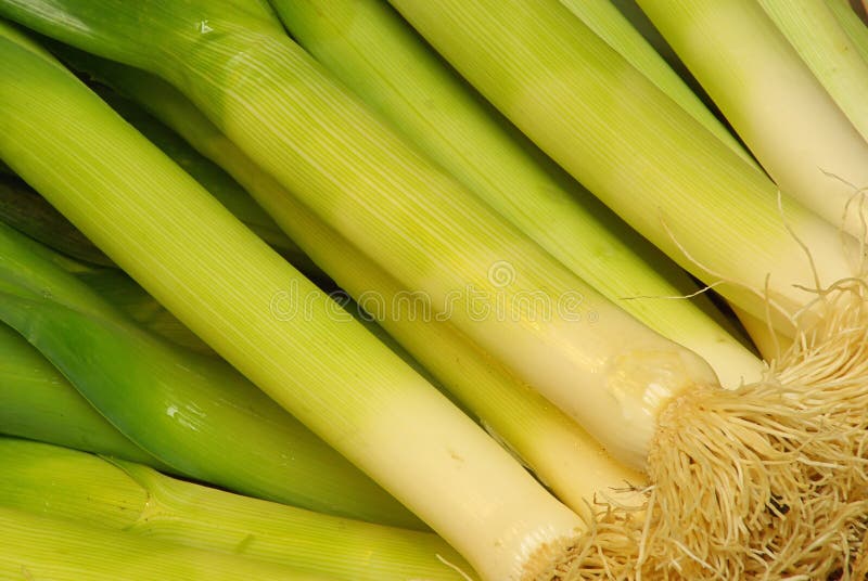Leek 01 stock image. Image of meal, eating, produce, life - 6839965