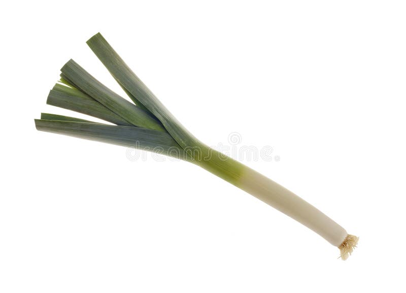 Leek stock photo. Image of leaf, details, vegetable, closeup - 23990892