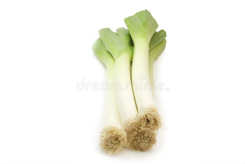 Leek stock photo. Image of vegetable, healthy, smell, cooking - 7349036