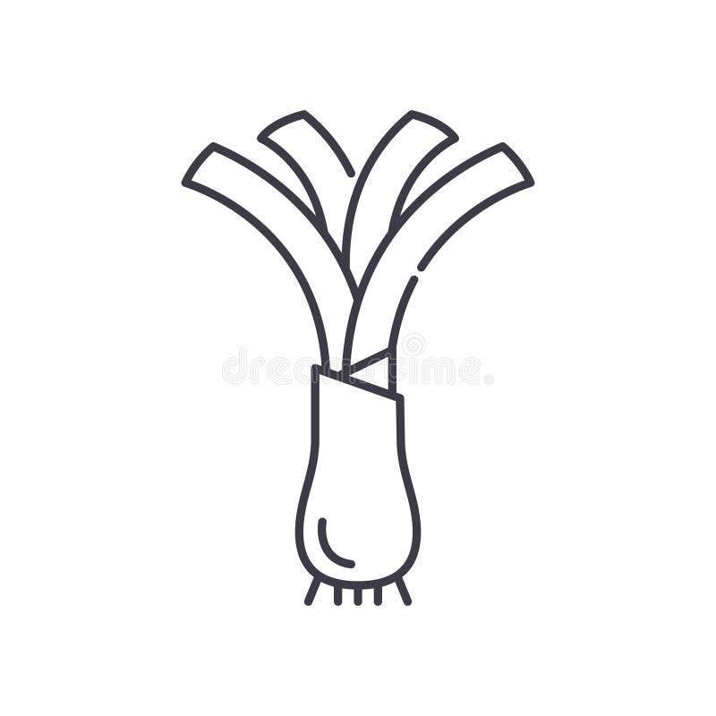 Leek Linear Graphic Design. Black and White Image of Vegetables Stock ...