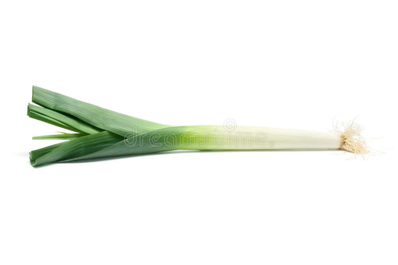 Single Leek stock photo. Image of objects, object, white - 30235640