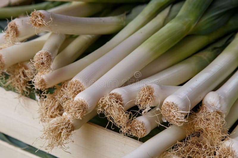 Leek group from a market stock image. Image of groceries - 57792535