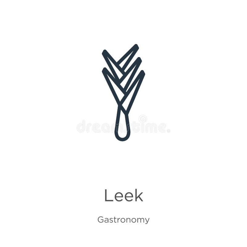 Leek Icon. Thin Linear Leek Outline Icon Isolated on White Background ...