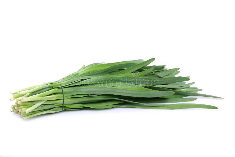 Leek leaves stock image. Image of bundle, green, leek - 70002861